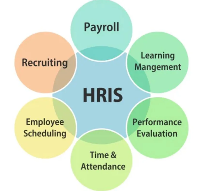 HRIS Systems: Streamlining Human Resource Management